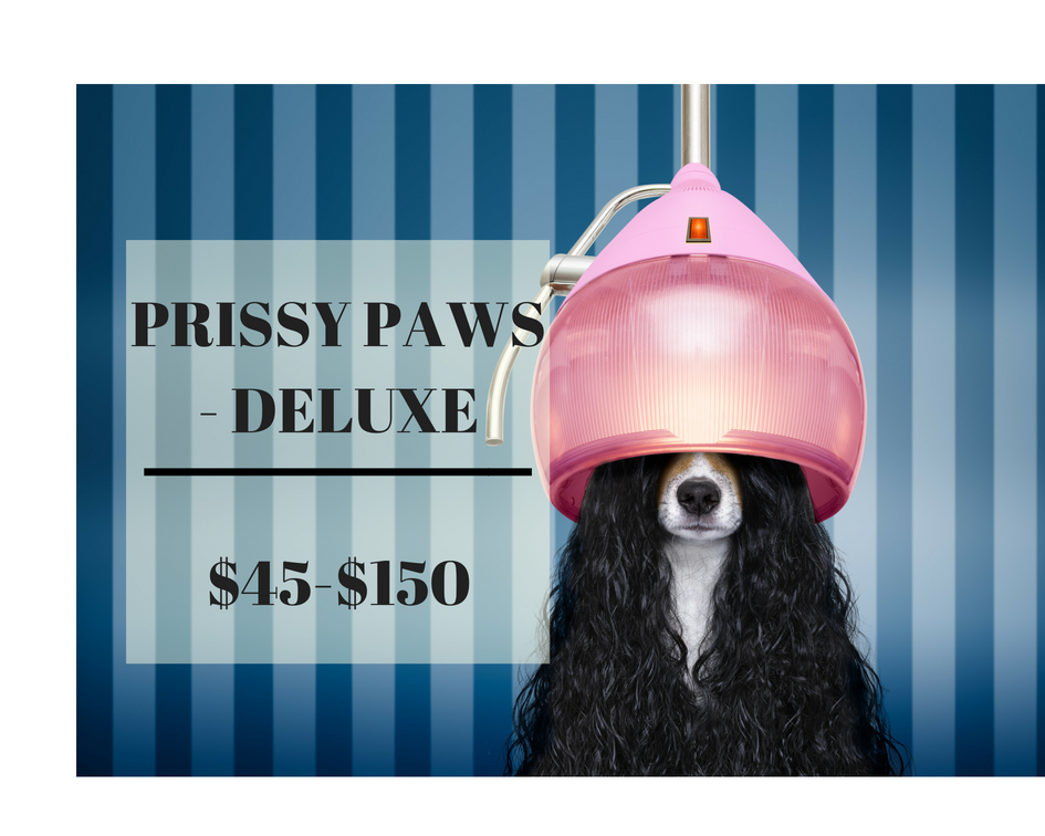 PRISSY PAWS PET SALON - Updated July 2025 - 116 Photos - 3000 Green ...