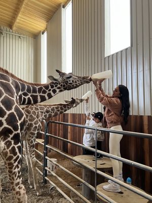 BLUE HILLS RANCH - 100 Photos & 20 Reviews - 2032 Blue Cut Rd N ...