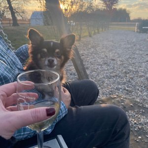 NA ZDRAVIE VINEYARD AND WINERY - 14 Photos - 13414 Marietta Rd ...