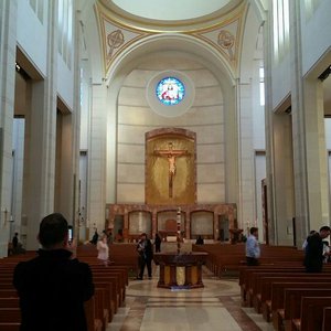 CO-CATHEDRAL OF THE SACRED HEART - 39 Photos & 25 Reviews - Churches ...