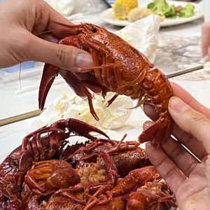 HARBOR SEAFOOD SUPER BUFFET - Updated June 2024 - 285 Photos & 157 ...