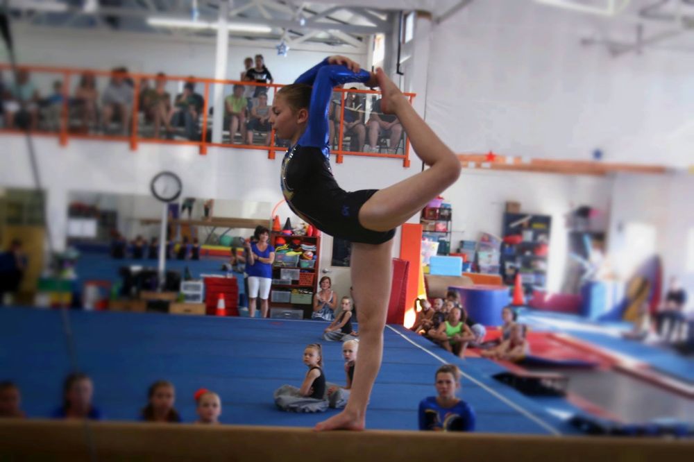 GYM STAR SPORTS CENTER - Updated May 2026 - 13 Photos - 5519 Hovander ...
