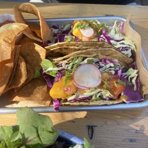 RARE BIRD BREWPUB - 453 Photos & 570 Reviews - Bars - 229 Lake Ave ...