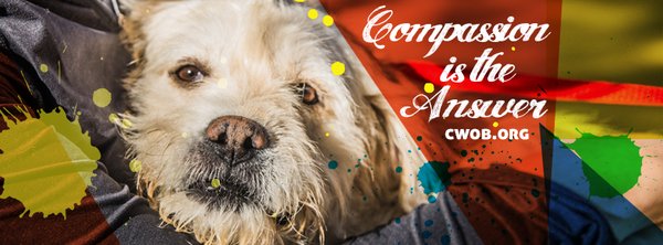 COMPASSION WITHOUT BORDERS - Updated July 2025 - 10 Photos & 15 Reviews ...