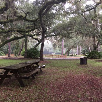 FANNING SPRINGS STATE PARK - Updated March 2025 - 126 Photos & 23 ...