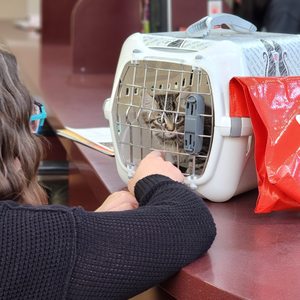 ALBERTA SPCA - Updated January 2026 - 17904 118 Avenue NW, Edmonton ...