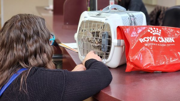 EDMONTON HUMANE SOCIETY - Updated December 2025 - 34 Photos & 59 ...