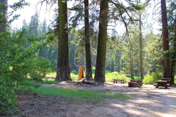 QUAKING ASPEN CAMPGROUND - 98 Photos & 34 Reviews - Giant Sequoia ...