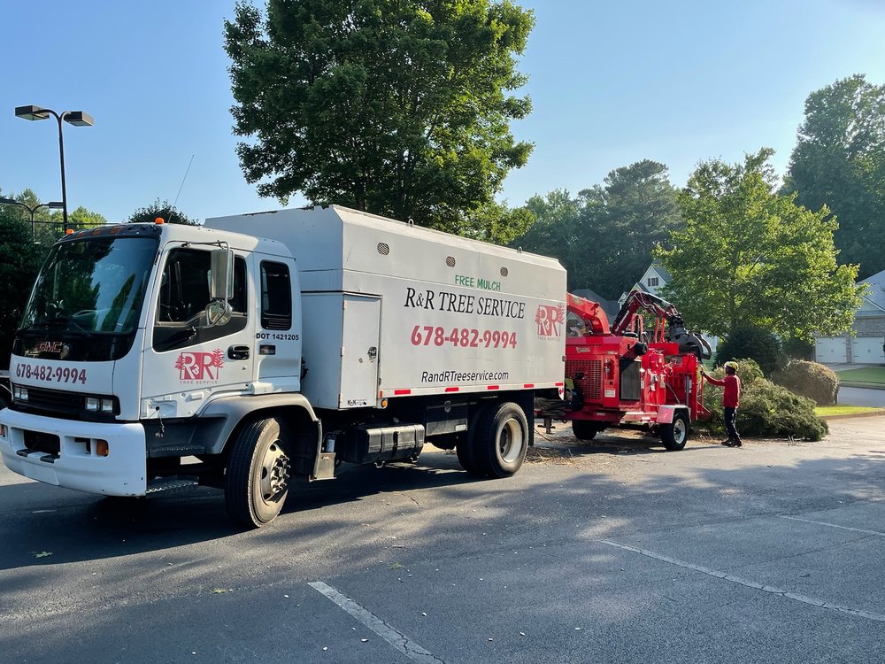 R & R TREE SERVICE - Updated June 2025 - 23 Photos - 1381 Buford Hwy ...
