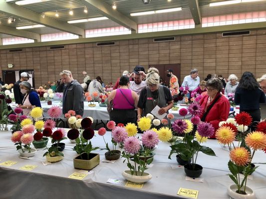 SAN FRANCISCO COUNTY FAIR BUILDING - Updated October 2025 - 131 Photos ...