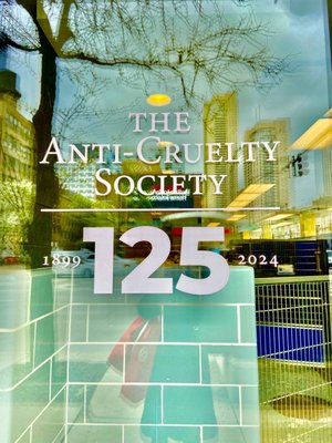 ANTI-CRUELTY - Updated July 2025 - 217 Photos & 460 Reviews - 510 N ...