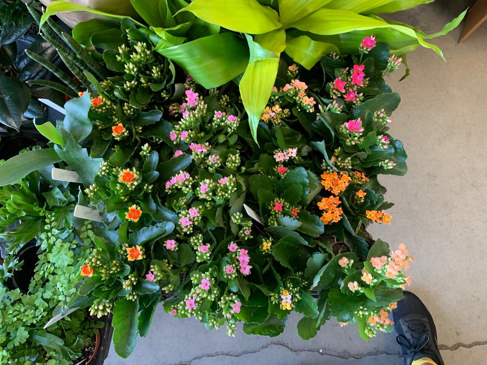 DO IT BEST HOME CENTER - Updated August 2024 - 119 Photos & 37 Reviews ...