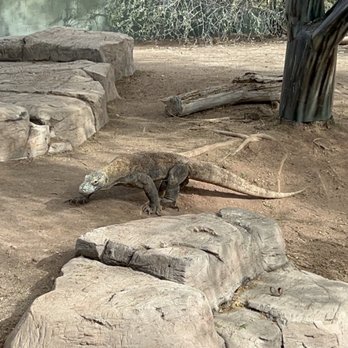 PHOENIX ZOO - Updated December 2024 - 2352 Photos & 1039 Reviews - 455 ...