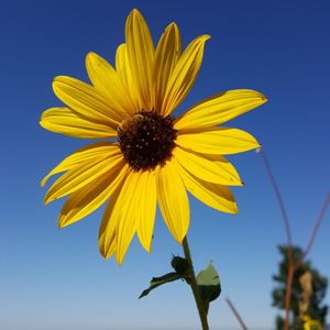 SAN DIMAS CANYON PARK - 85 Photos & 22 Reviews - Parks - 1628 Sycamore ...