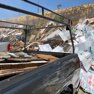 UCLA SAFE COLLECTION CENTER - 13 Photos & 99 Reviews - 550 Charles E ...