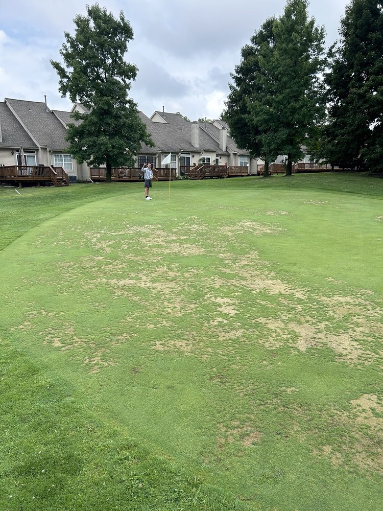 MAPLES GOLF CLUB - Updated September 2024 - 12 Photos - 31260 Wakefield ...