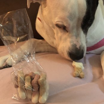 PHILIPS CANDY - Updated July 2025 - 43 Photos & 58 Reviews - 8 Barrett ...