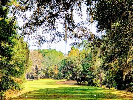 THE GOLF CLUB AT SUMMERBROOKE - Updated April 2025 - 12 Reviews - 7505 ...