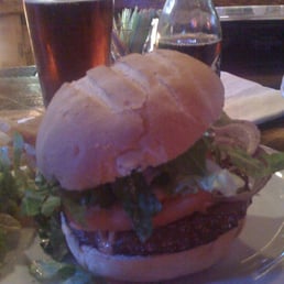 SPRINGBOK BAR & GRILL - Updated December 2025 - 443 Photos & 806 ...