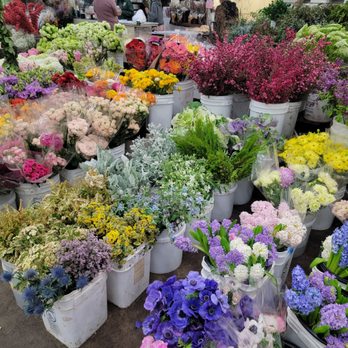 LOS ANGELES FLOWER DISTRICT - Updated March 2026 - 1019 Photos & 287 ...