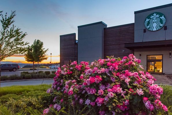 GRAND RIDGE PLAZA - Updated July 2025 - 17 Photos - 1451 Highlands Dr ...