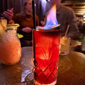 WICKED RABBIT - 316 Photos & 247 Reviews - 1508 Harney St, Omaha, NE - Yelp