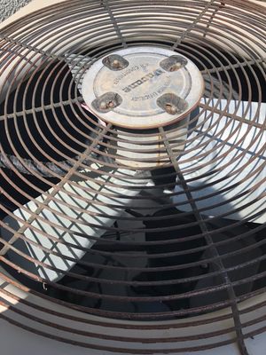 PACIFIC AIRE - Updated September 2025 - 81 Photos & 498 Reviews - 301 ...