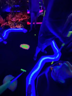 WILD FUN ZONE - Updated July 2024 - 43 Photos & 20 Reviews - 310 ...