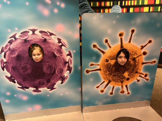 MUSEUM OF THE ROCKIES - Updated October 2025 - 439 Photos & 173 Reviews ...