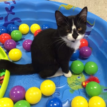 TULSA SPCA - Updated December 2025 - 22 Photos & 19 Reviews - 2910 ...