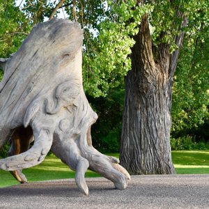 RASPBERRY ISLAND REGIONAL PARK - 29 Photos - Parks - 1 Raspberry Way ...