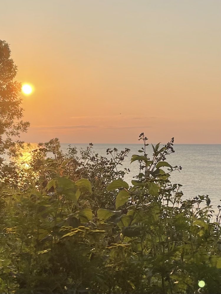 AURORA MEDICAL CENTER - Updated July 2025 - 5000 Memorial Dr, Two ...