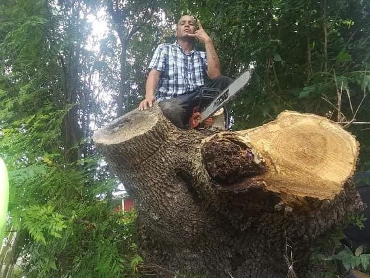 VIC’S TREE SERVICE - Updated May 2024 - Victoria, Texas - Tree Services ...