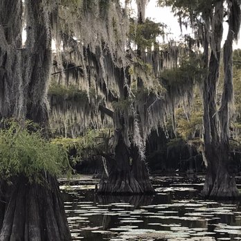 CAPTAIN RON’S SWAMP TOURS - Updated October 2024 - 76 Photos & 34 ...