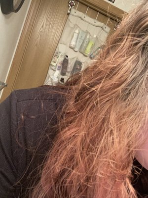 XALON SALON - Updated February 2025 - 16 Photos & 14 Reviews - 2934 West Division St, Saint ...