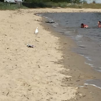 GLOUCESTER POINT BEACH PARK - Updated October 2025 - 134 Photos - 1255 ...