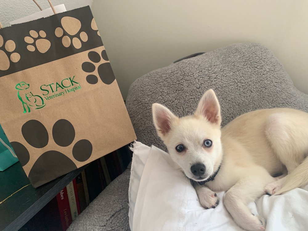 STACK VETERINARY HOSPITAL - 23 Photos & 36 Reviews - 5092 Velasko Rd ...