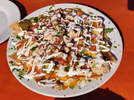 EL GECKO - Updated January 2025 - 18 Photos & 20 Reviews - La Besucona ...