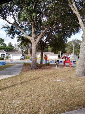 HERNANDO COUNTY PUBLIC LIBRARY - SPRING HILL - Updated October 2025 ...