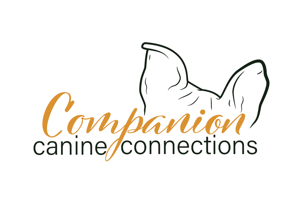 COMPANION CANINE CONNECTIONS - Phoenix, Arizona - Pet Training - Phone ...
