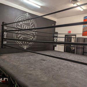 WILD CARD BOXING CLUB & WILD CARD BOXING STORE - Updated December 2025 ...