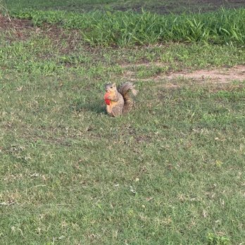 RIVER POINT GOLF CLUB AT RICHMOND - Updated June 2025 - 23 Reviews ...