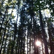 CISPUS LEARNING CENTER - 13 Photos - Elementary Schools - 2142 Cispus ...