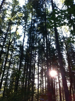 CISPUS LEARNING CENTER - Updated September 2025 - 13 Photos - 2142 ...