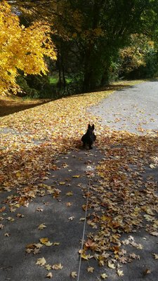 ELLISON PARK - Updated May 2025 - 71 Photos & 28 Reviews - 395 Richs ...