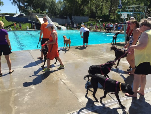 PAPIO BAY - Updated December 2025 - 11 Reviews - 815 E Halleck St ...