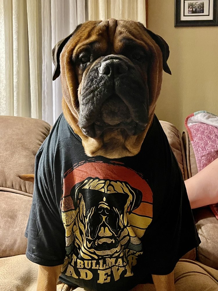 MARK’S PETEX - Updated October 2024 - Dyersville, Iowa - Pet Transportation - Phone Number - Yelp