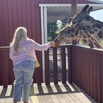 BRIGHT’S ZOO - Updated January 2026 - 95 Photos & 39 Reviews - 3425 Hwy ...