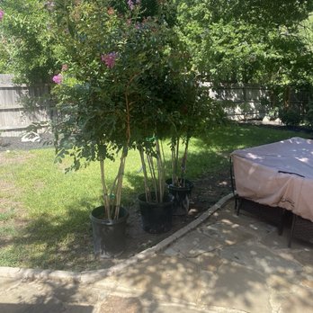 MOON VALLEY NURSERIES - Updated October 2025 - 51 Photos & 62 Reviews - 3550 N Loop 1604 E, San ...