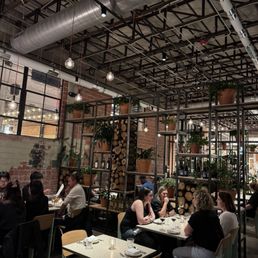 FIFE & FARRO - Updated October 2025 - 465 Photos & 203 Reviews - 221 Newell Ave, San Antonio ...